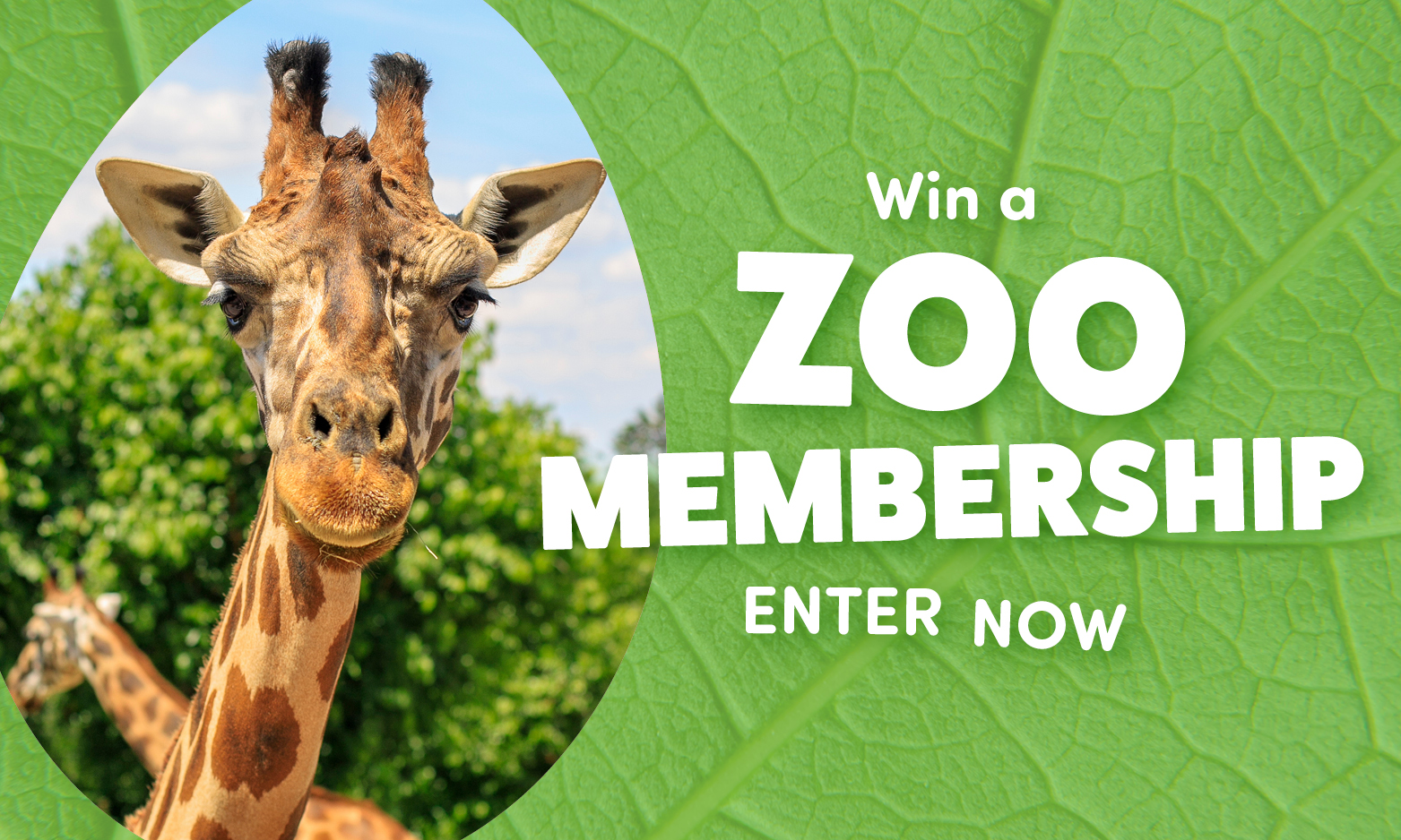 EVENTS & OFFERS – Eden Rise Village